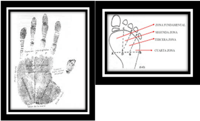 Lofoscopia | Segurança e Ciências Forenses
