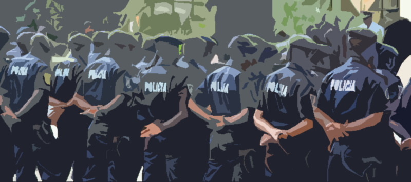 Curso de Formação de Oficiais de Polícia – PSP | Segurança e Ciências ...